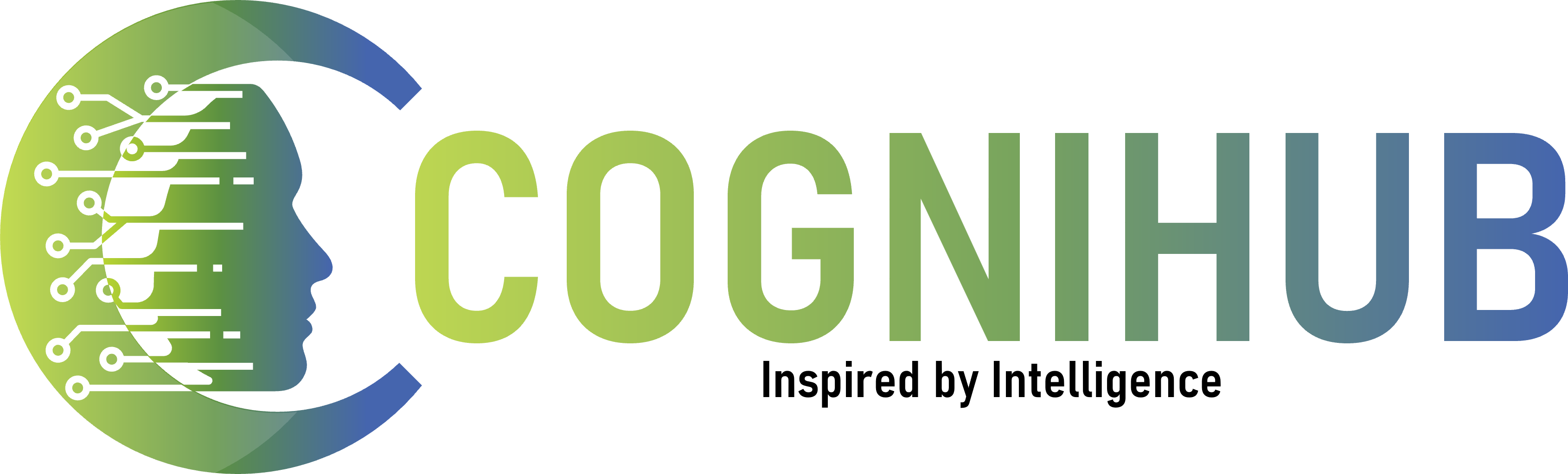 Cognihub.ai – Transforming Data into Value